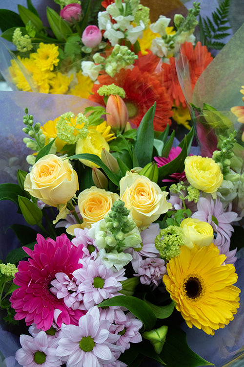 Maple Ridge Flower Delivery - Floretta – Floretta Flowers